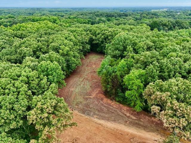 12 plomar williams rd