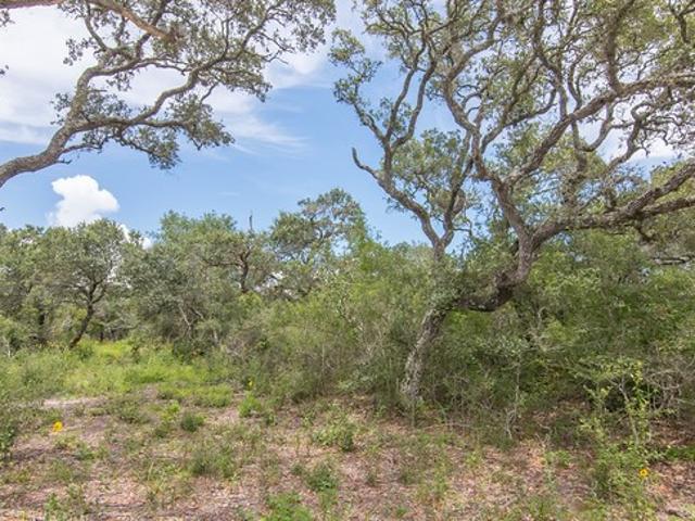 12 Pr 4061 Edna, TX 77957 | MLS #6333