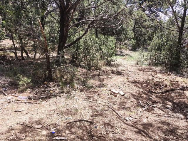 12 Quail Hollow Road