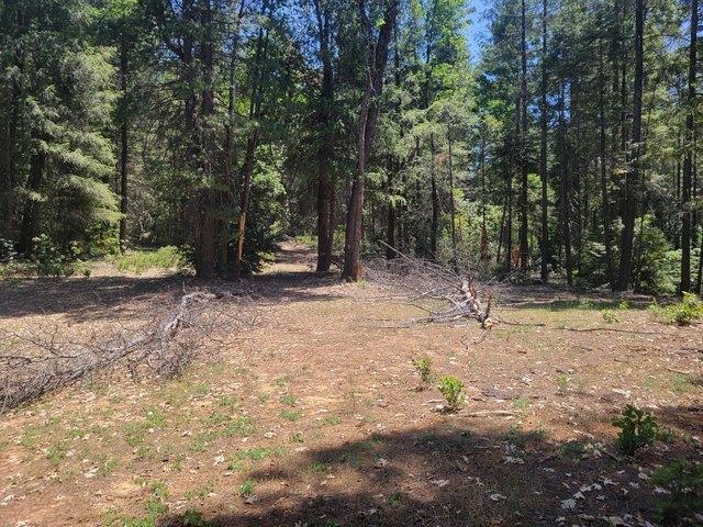 12 Ringtail, Georgetown, CA 95634