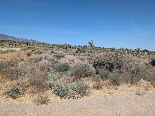 12 Sheep Creek