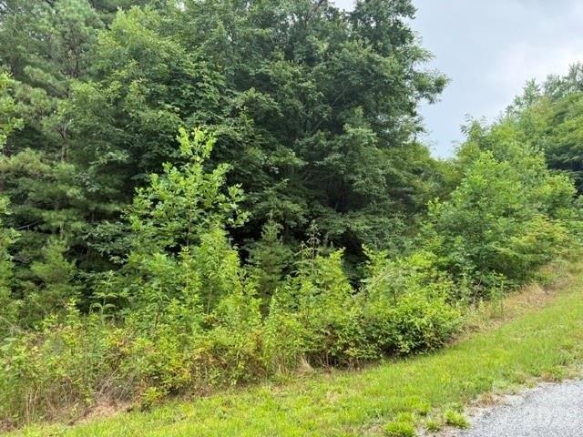 12 Silverstone Dr, Hendersonville, NC 28792