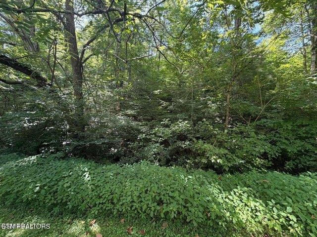 12 Smoky Mountain Way, Sevierville, TN 37876