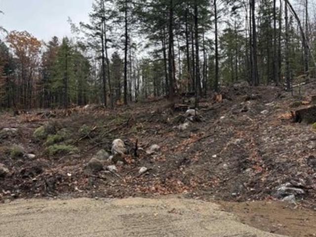 12 Sugar Loaf Dr Lot 10, Ossipee, NH 03814