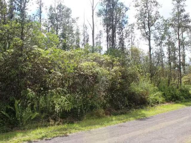 12 Sugarcane Ln, Pahoa, HI 96778 MLS# 712128