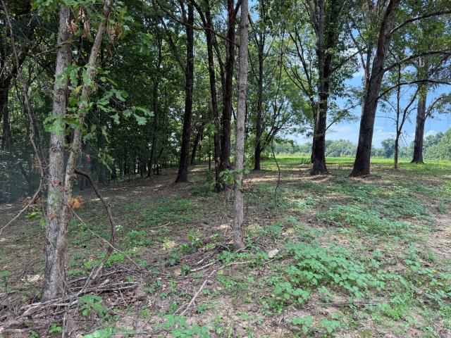 12A Bunker Hill Road