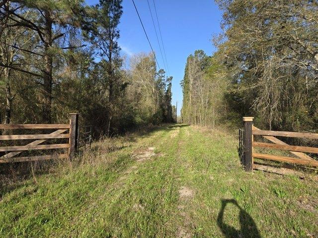 12A Mills Ln, Richards, TX 77873