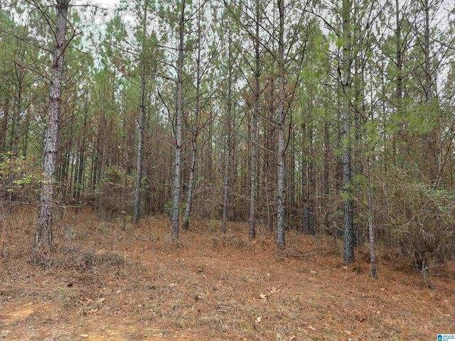 12B Highway 69 Lot 12B, Chelsea, AL 35043