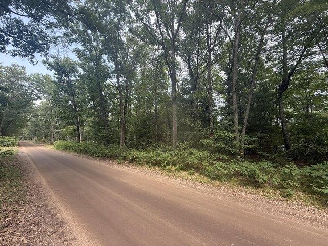 12th Ave, Bitely, MI 49309