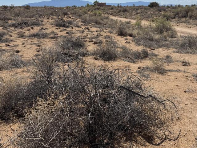 12th Avenue SE Lot 40