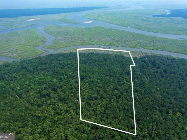 1304 Old Smokey Rd, Townsend, GA 31304 | MLS #10423