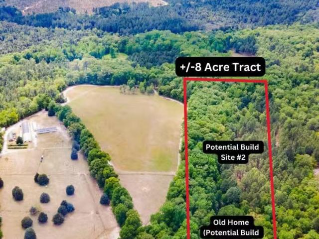 1304 BUB SHUMPERT RD, PELION, SC 29123 Vacant Land For Sale M.