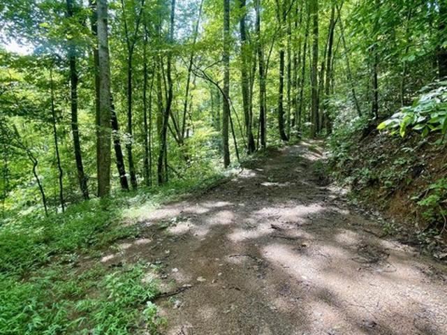 1304 Balsam Cir, Sevierville, TN 37876