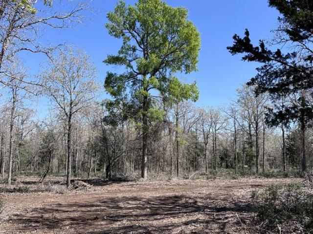 1304 Walleye Creek Trail St