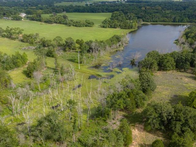 13053 County Road 3806 Unit 3805, Murchison, TX 75778
