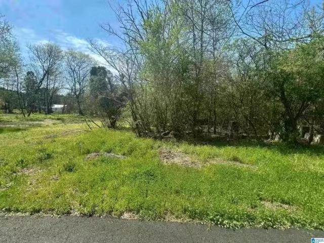 1305 BULLARD ST # 10, BESSEMER, AL 35020 Vacant Land For Sale.