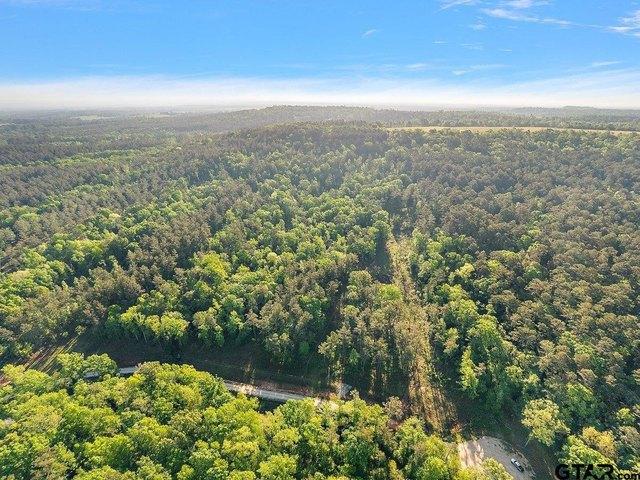 1305 Jackson Dr and Tbd Highway 110, Rusk, TX 75785
