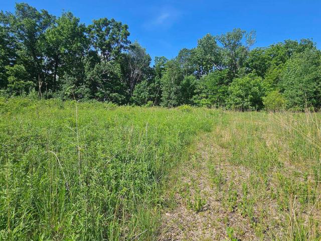 13061 Walnut Bluff Road