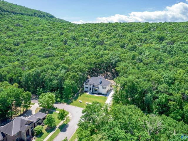 1306 Cardinal Cove Drive, Huntsville, USA, AL