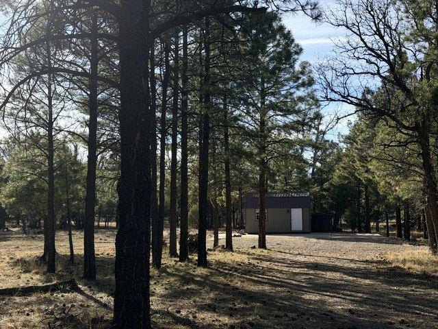 1306 Green Top Dr, Happy Jack, AZ 86024