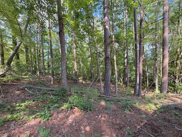 1306 Southgate Dr Lot 682, Villa Rica, GA 30180