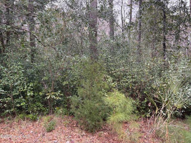 1307 Burnett Rd, Wilmington, NC 28409 | MLS #100551
