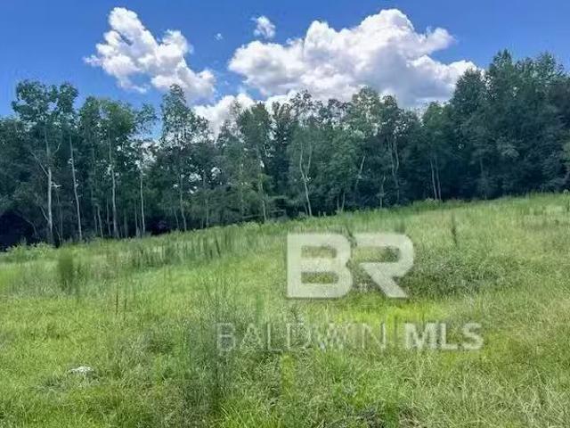 1308 S PRESLEY ST, ATMORE, AL 36502 Vacant Land For Sale MLS#.
