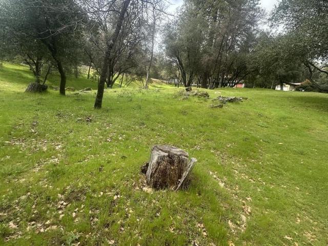 13095 Fox CT