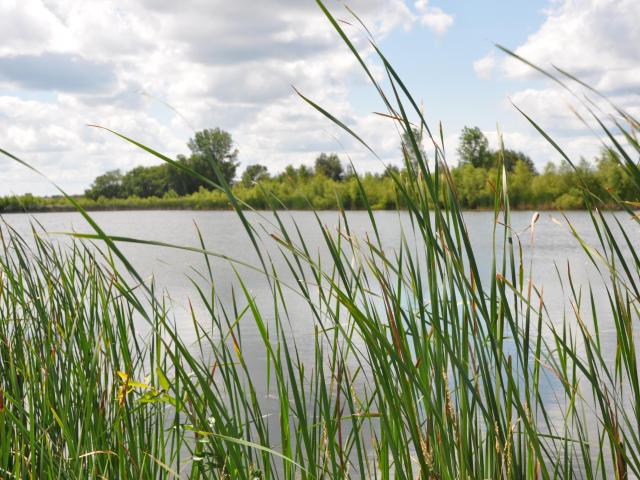 1309 20th Ave S, Sartell, MN 56377 | MLS #6810