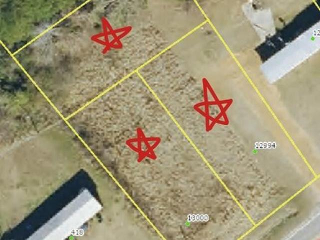 13000 Elizabethtown Rd, Bladenboro, NC 28320