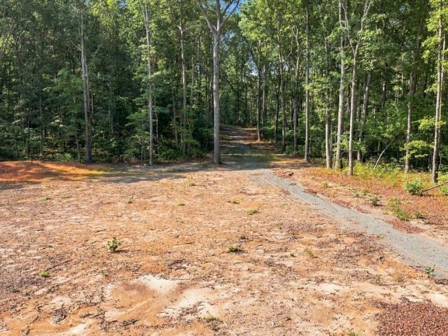 13009 Orange Plank Road