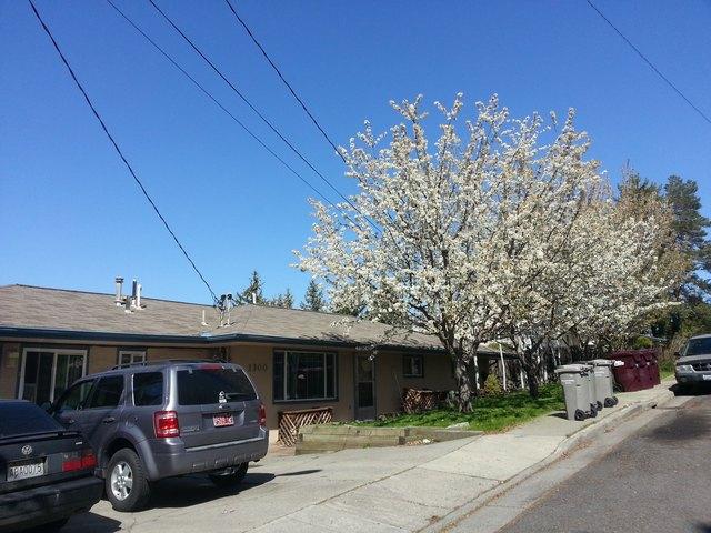1300 NE Williams St Apt 2, Pullman, WA 99163