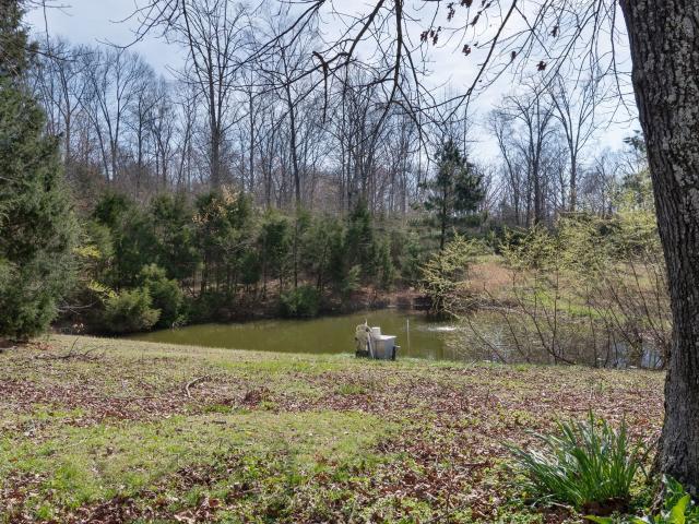 1300 New She Boss Rd, Duck River, TN 38454 | MLS #3159 | Compass