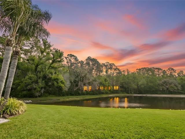13010 Royal George Ave, Odessa, FL 33556 | Compass