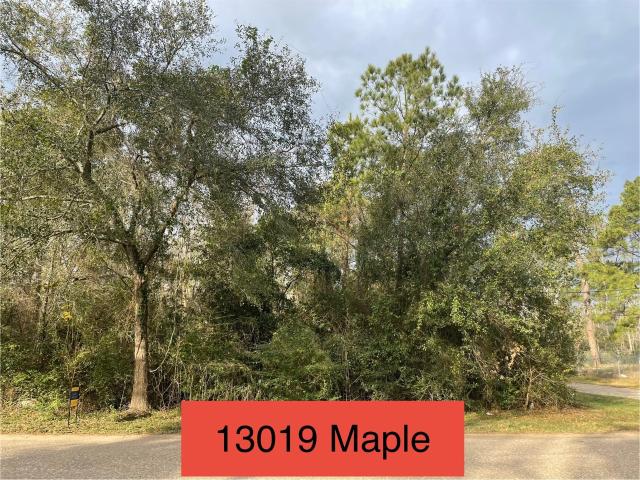 13019 Maple, Crosby, TX 77532 | MLS #10469