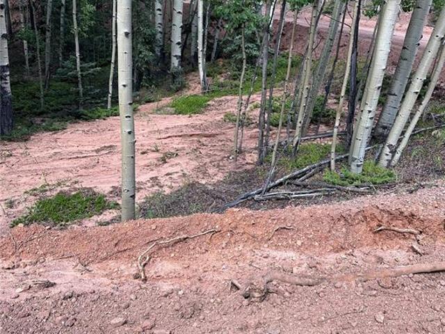 1301 Calcite Dr, Divide, CO 80814 | MLS #6705 | Compass