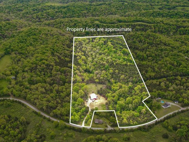 1301 Persimmon Ridge Road