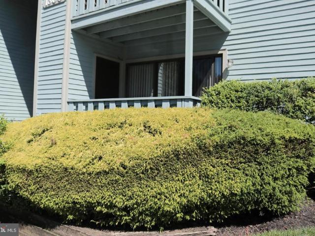 1301 Woodhollow Drive