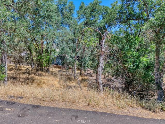 13020 Ridge St, Clearlake, CA 95422 | MLS #LC26156