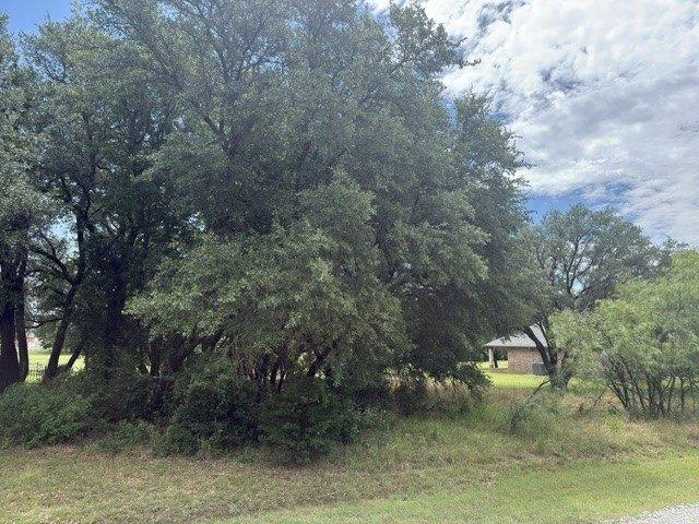 13025 Eagles Nest Dr, Whitney, TX 76692