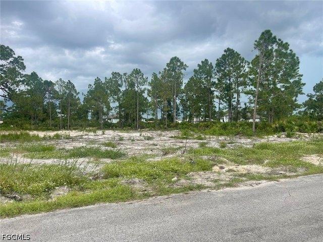1302 Prospect Ave, Lehigh Acres, FL 33972