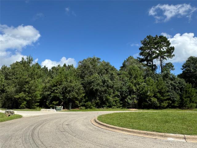 13032 Royal Oak Ct, Montgomery, TX 77316 | MLS #61060 | Compass