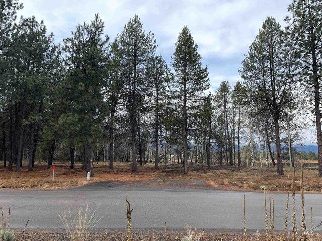 13039 Dawn Dr, Donnelly, ID 83615