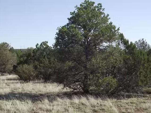 1303 E Antler Ln #546, Williams, AZ 86046 MLS 197254