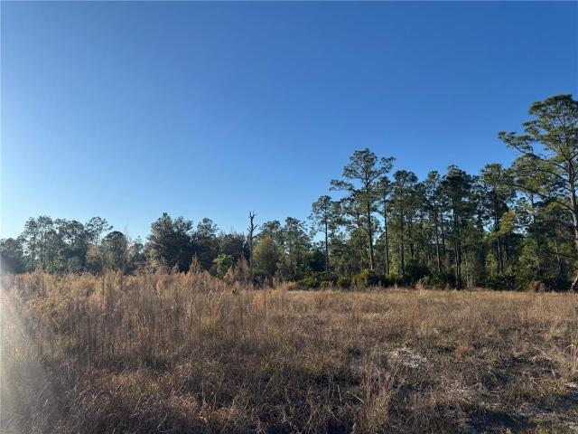 1303 Hamilton Ave, Lehigh Acres, FL 33972 | MLS #A4680 | Compass