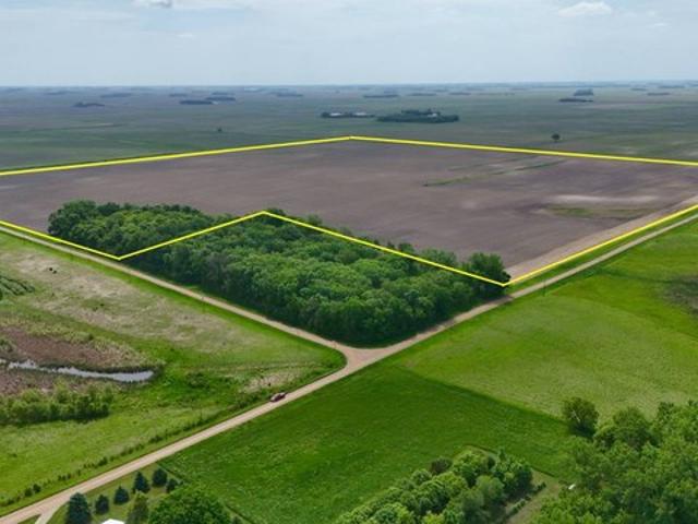 130th St, Echo, MN 56237