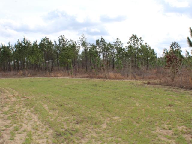 130.518 AC Ronnie Road