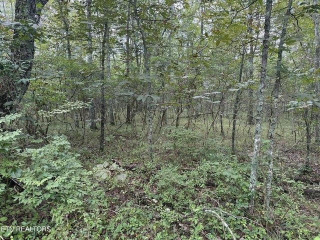 130 Blackburn Dr, Crossville, TN 38558
