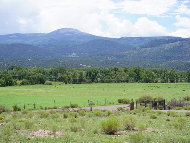 130 East Pfeiffer Loop, South Fork, CO 81154