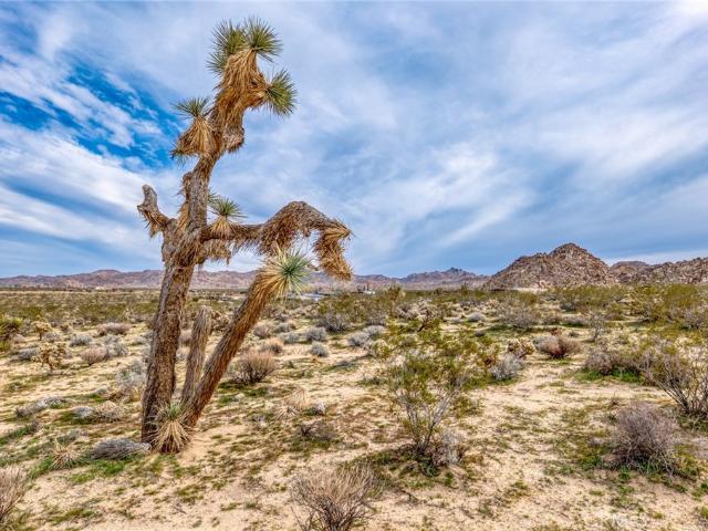 130 rd Hollinger Rd, Joshua Tree, CA 92252 | MLS #JT26029 | Compass